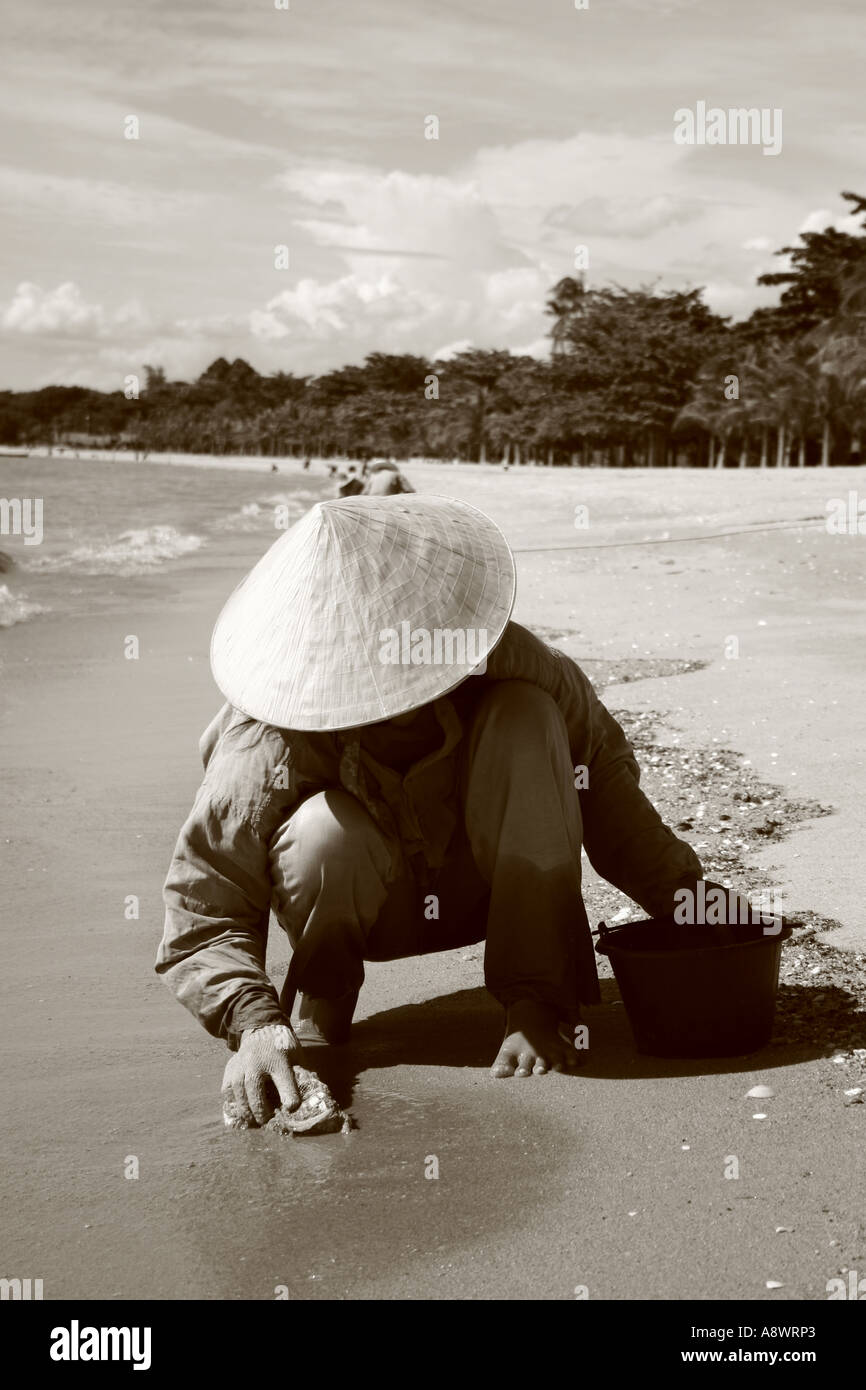 "Lady collecting fishing bait on beach Thailand south east asia,carried ...