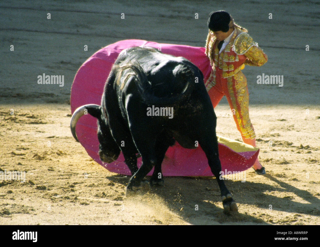 Female Matador High Resolution Stock Photography and Images - Alamy