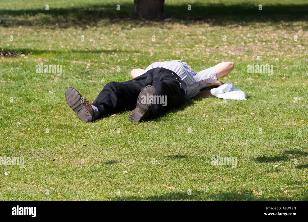 Man relaxing in spring sunshine 2- Cathays Park Cardiff Stock Photo - Alamy