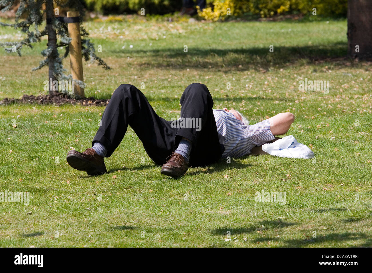 Man relaxing in spring sunshine- Cathays Park Cardiff Stock Photo - Alamy