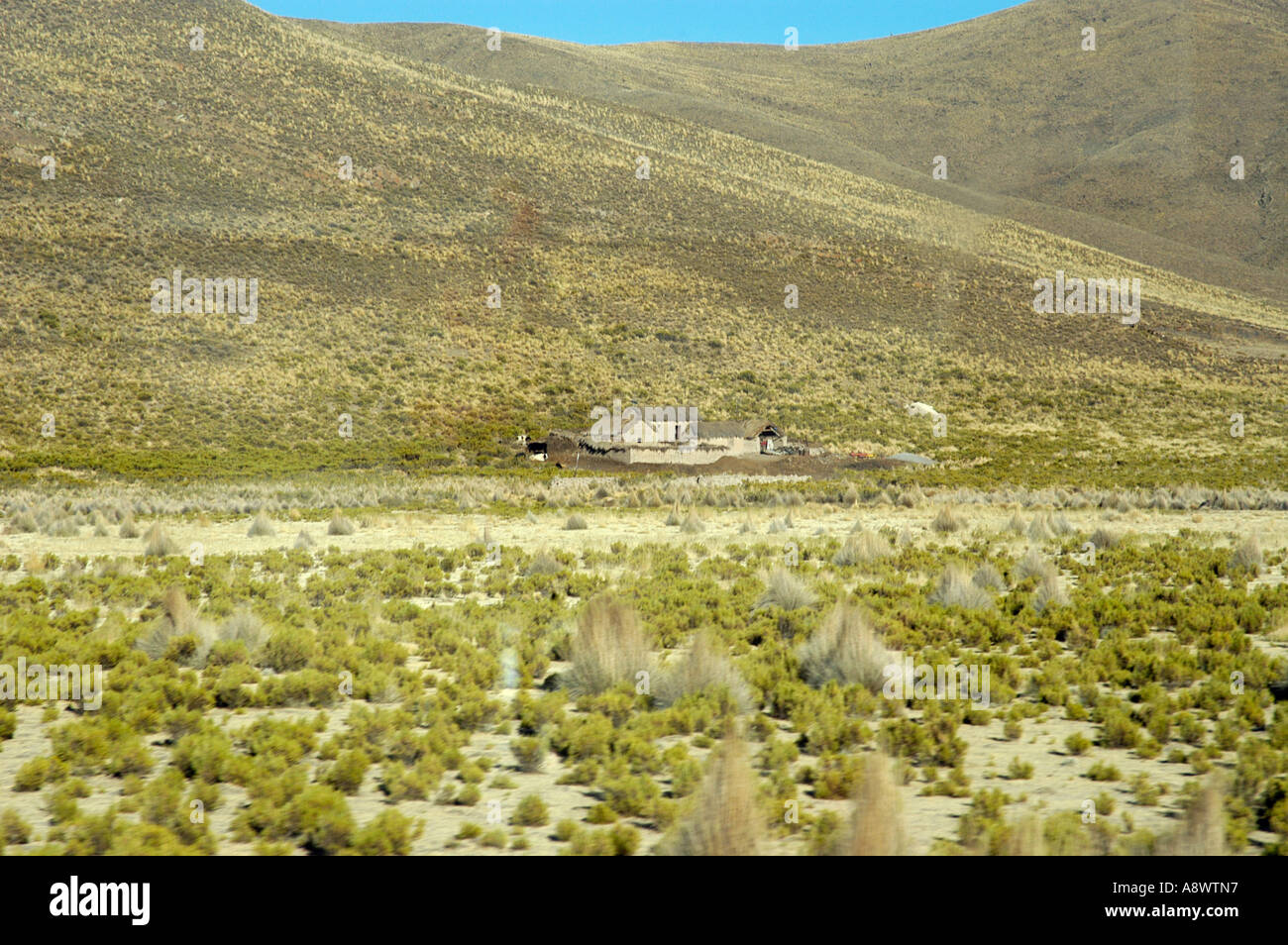 Settlement in a dry landscape in The Andes, Peru Stock Photo - Alamy
