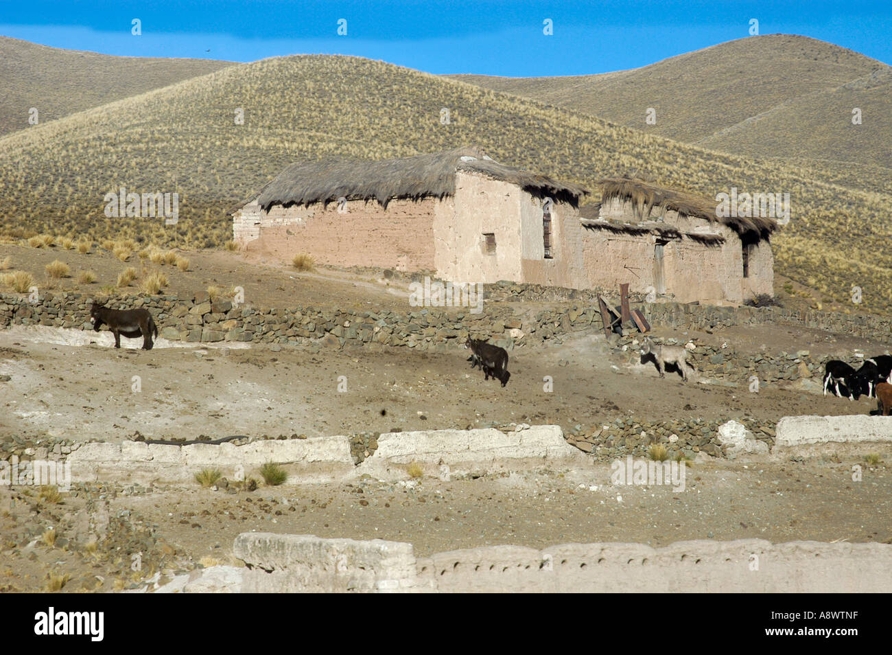 Scenery in The Andes, Peru Stock Photo - Alamy