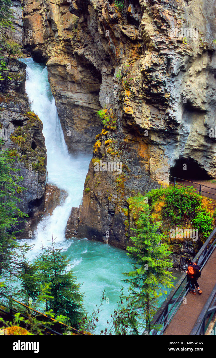 Johnston Canyon in Banff National Park, Canada Stock Photo - Alamy