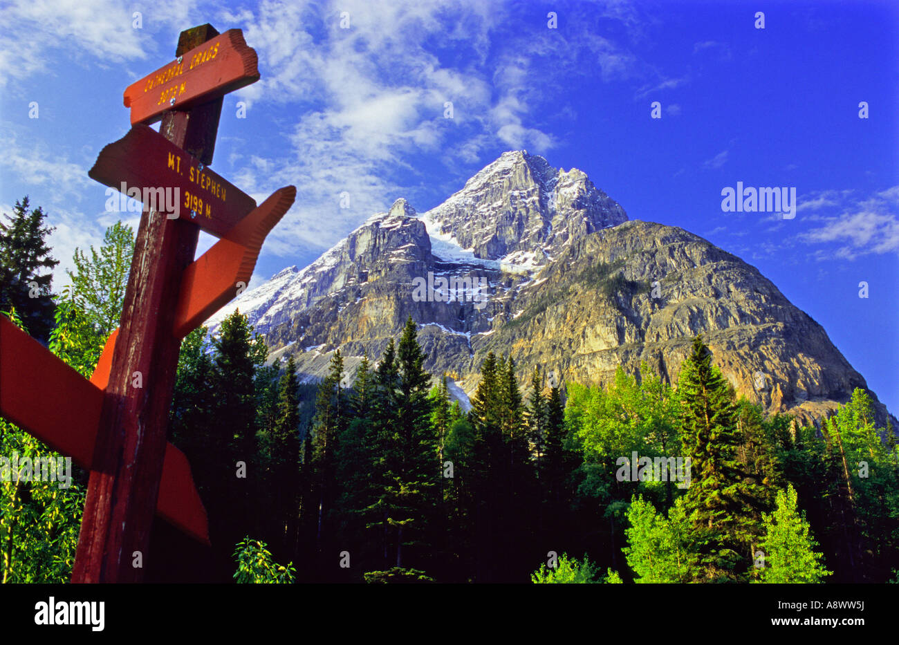 View of Mount Stephen in Yoho National Park, Rocky Mountains, Canada ...