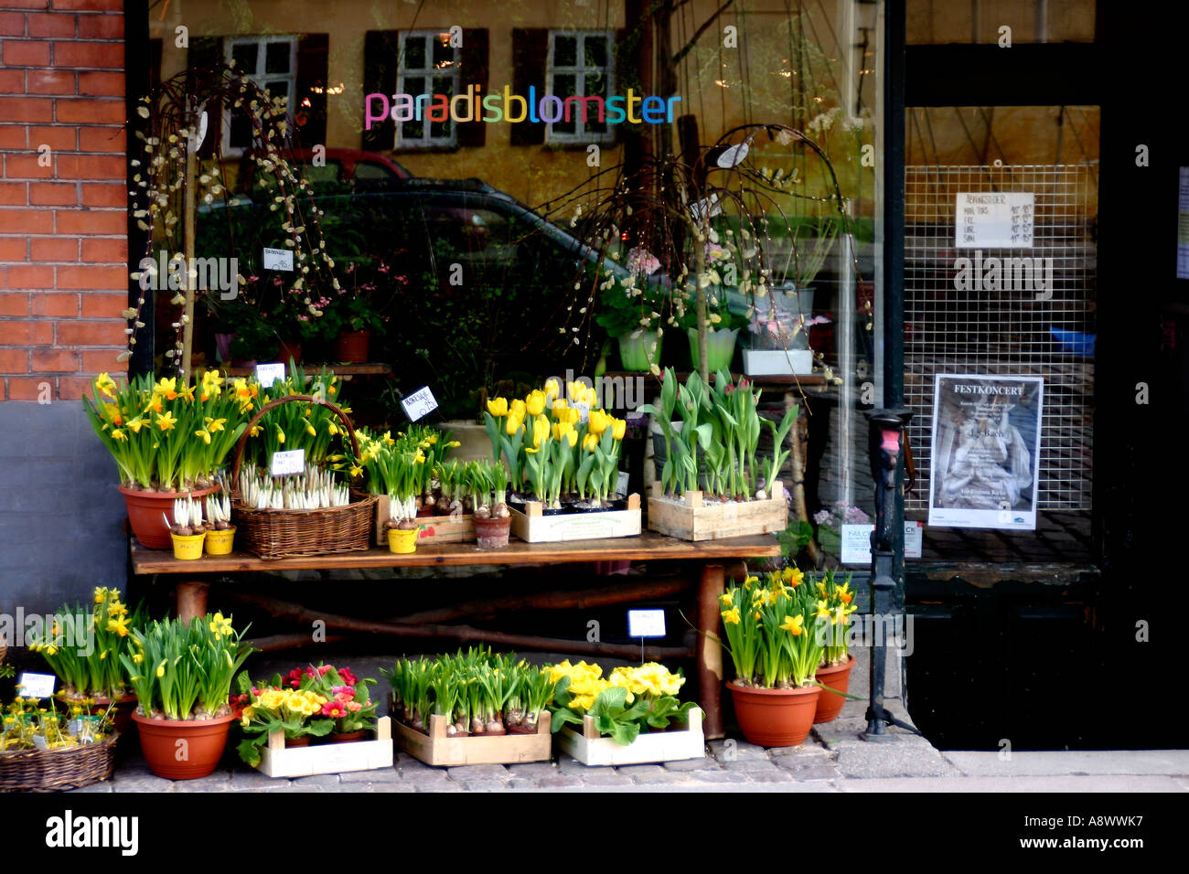 The window of a flower shop situated in the Christianshavn area of ...