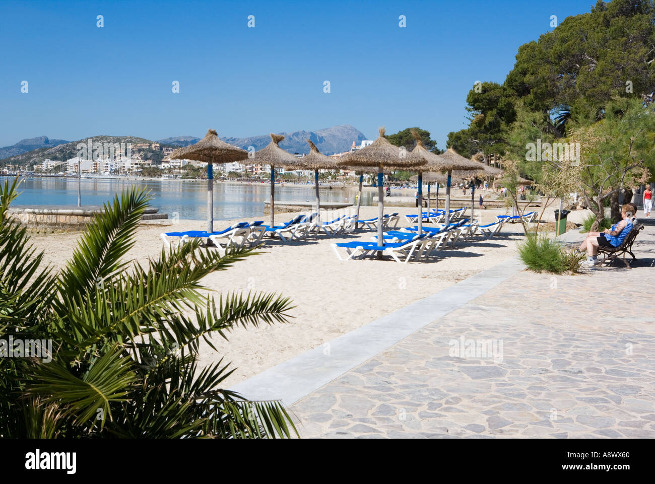 PUERTO POLLENSA MAJORCA Stock Photo - Alamy