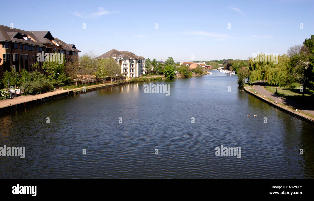 View of River Thames from Kings Meadow Bridge Reading Stock Photo - Alamy