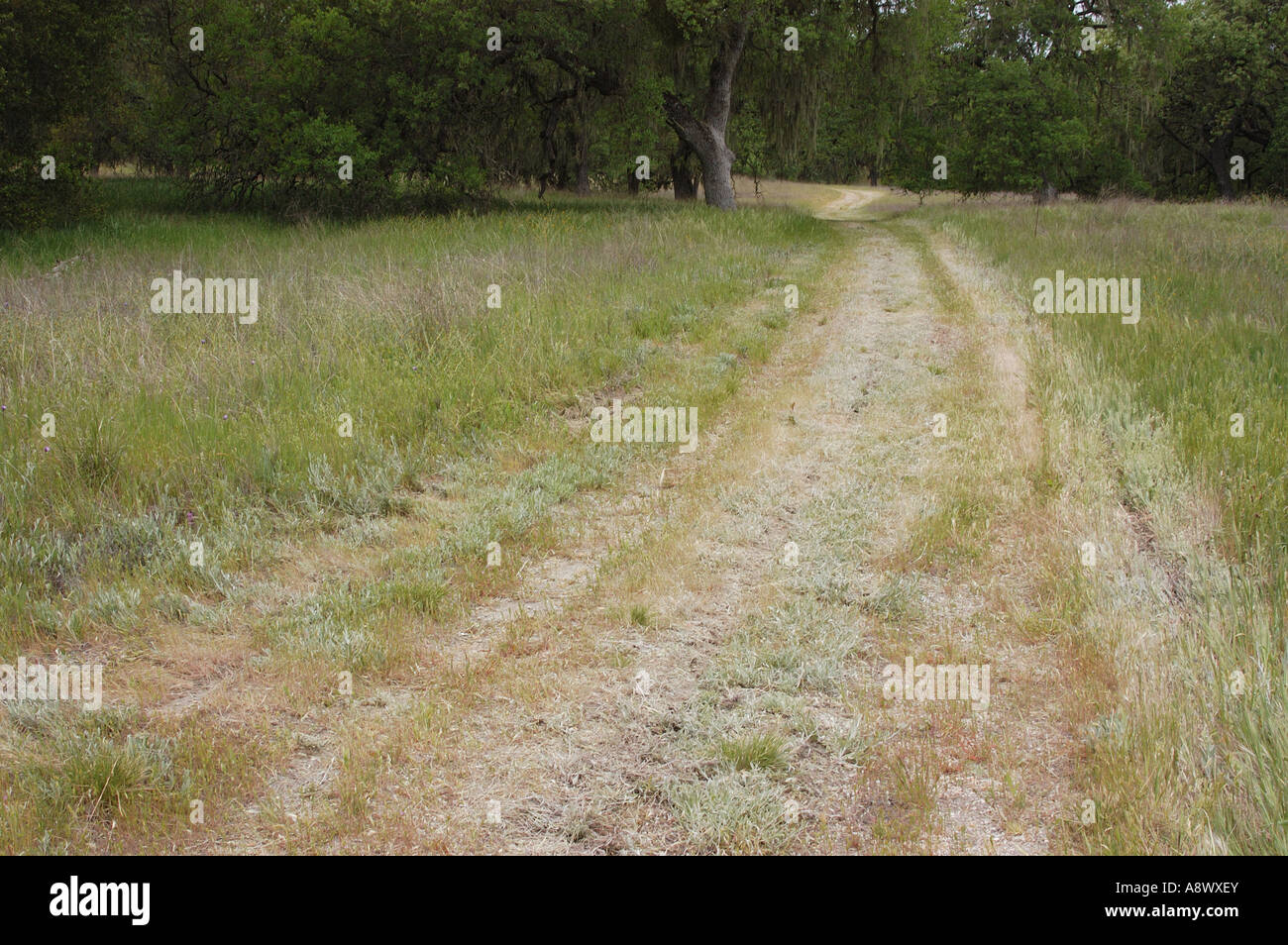 Rural California Landscape Stock Photo - Alamy