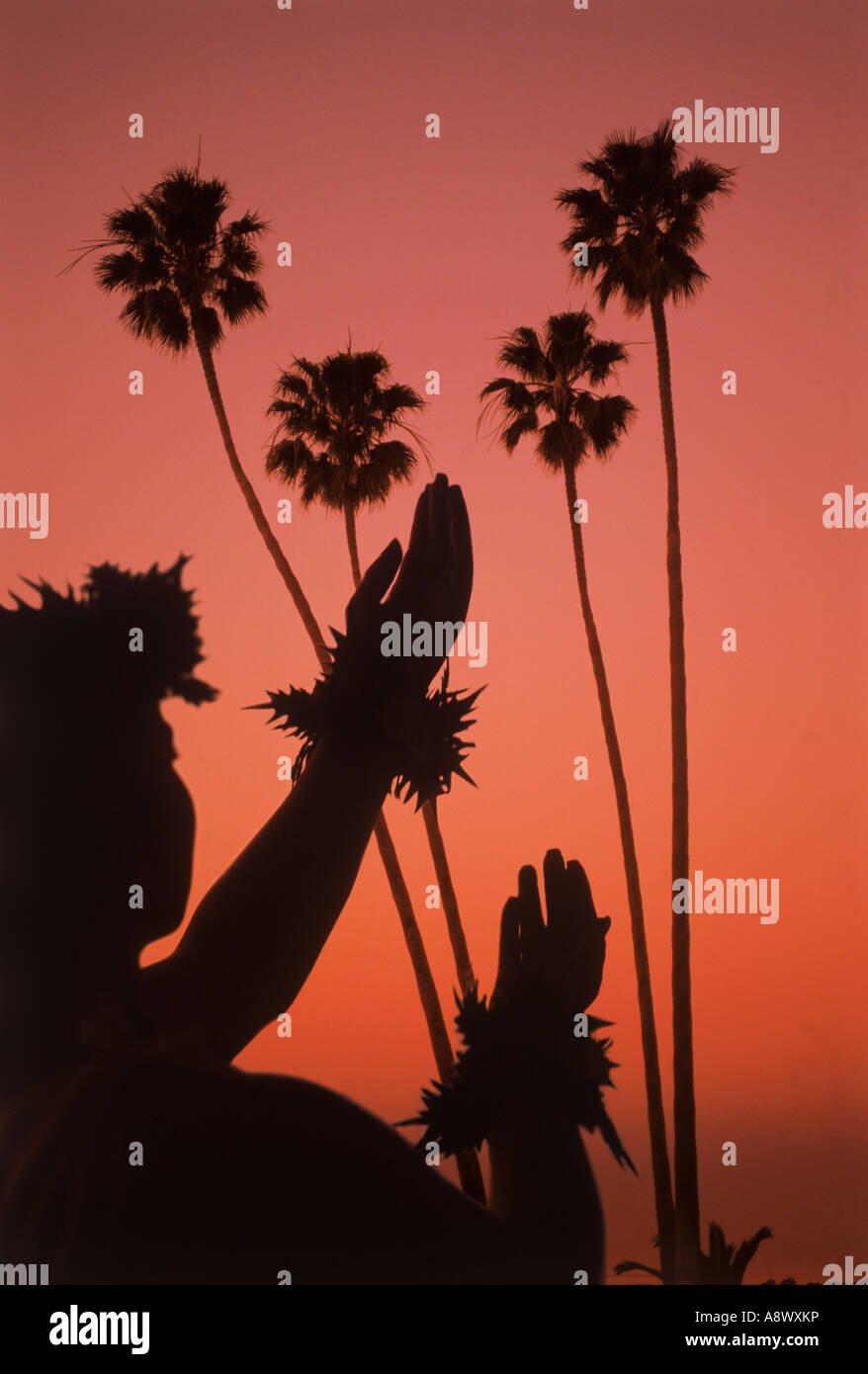 Hula Hula dancer in Hawaii with tall palm trees silhouetted at dusk ...