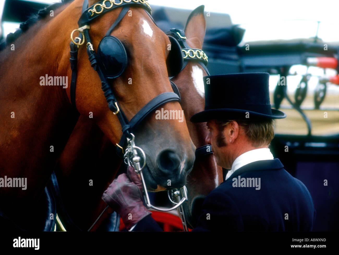 Royal equerry hi-res stock photography and images - Alamy