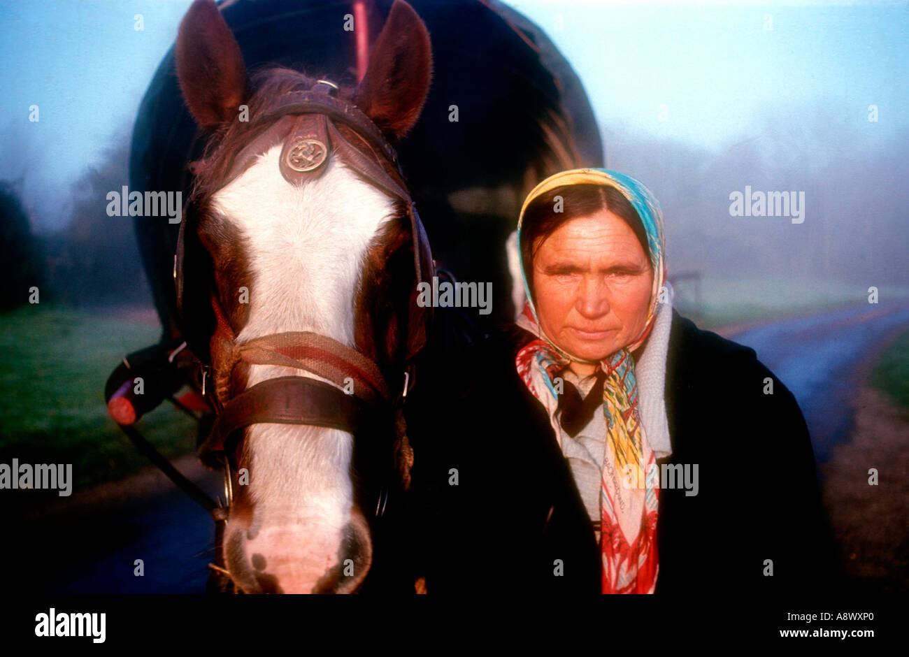 Gypsy mother with Pony in Winter Dorset England UK Stock Photo - Alamy