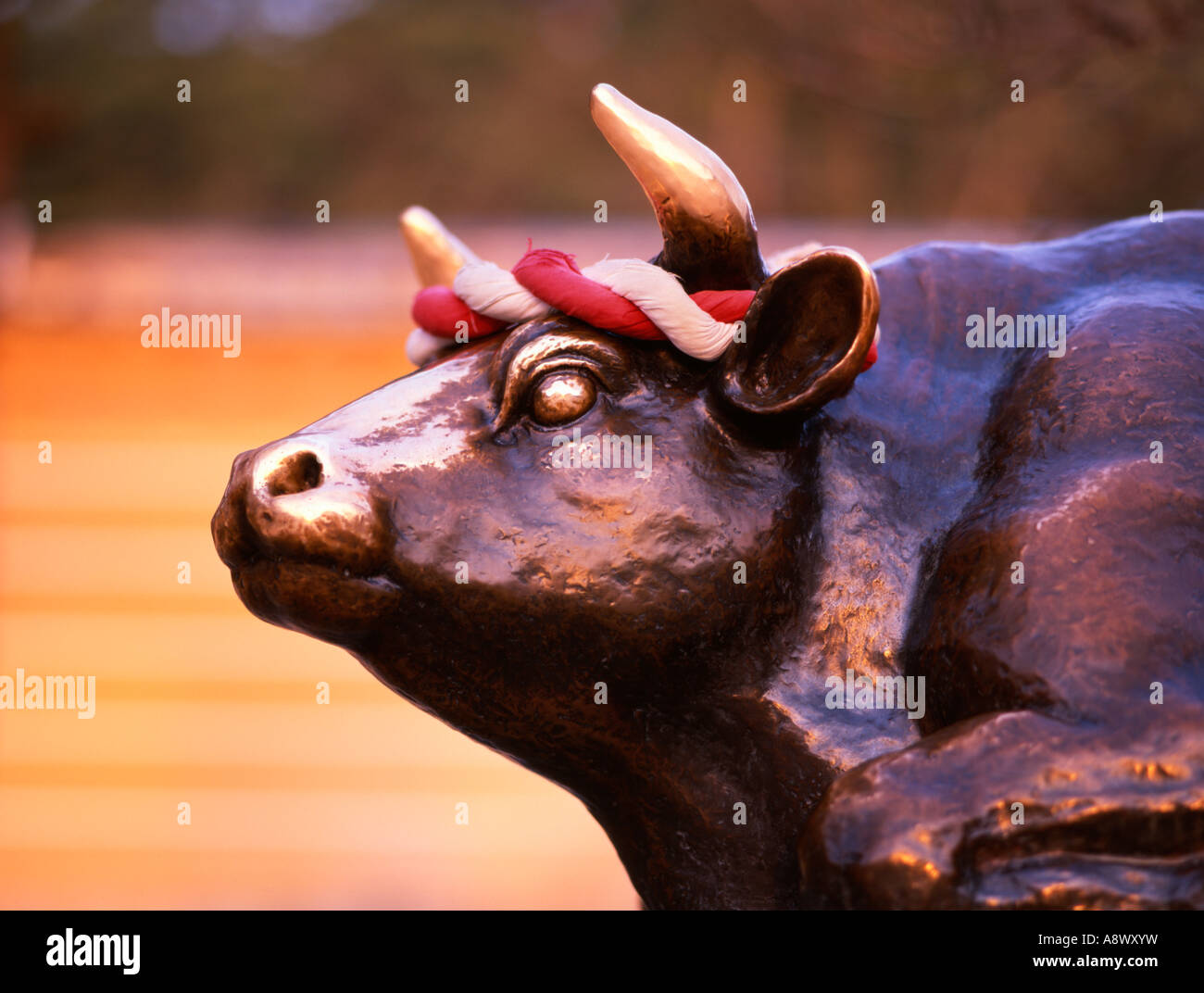 Bull statue at Daizaifu Tenmangu Shrine. Shinto Shrine - a place of ...