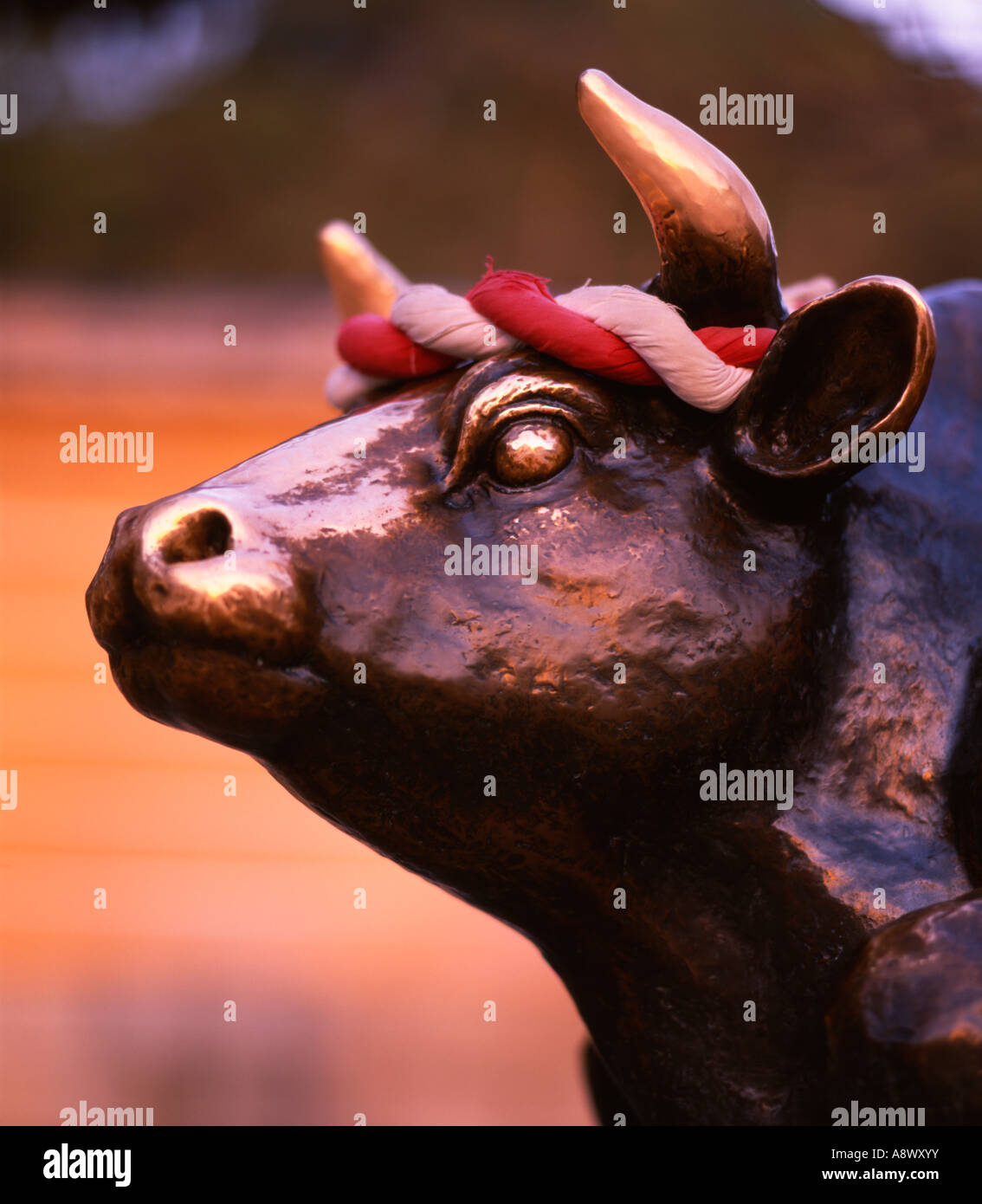 Bull statue at Daizaifu Tenmangu Shrine. Shinto Shrine - a place of ...