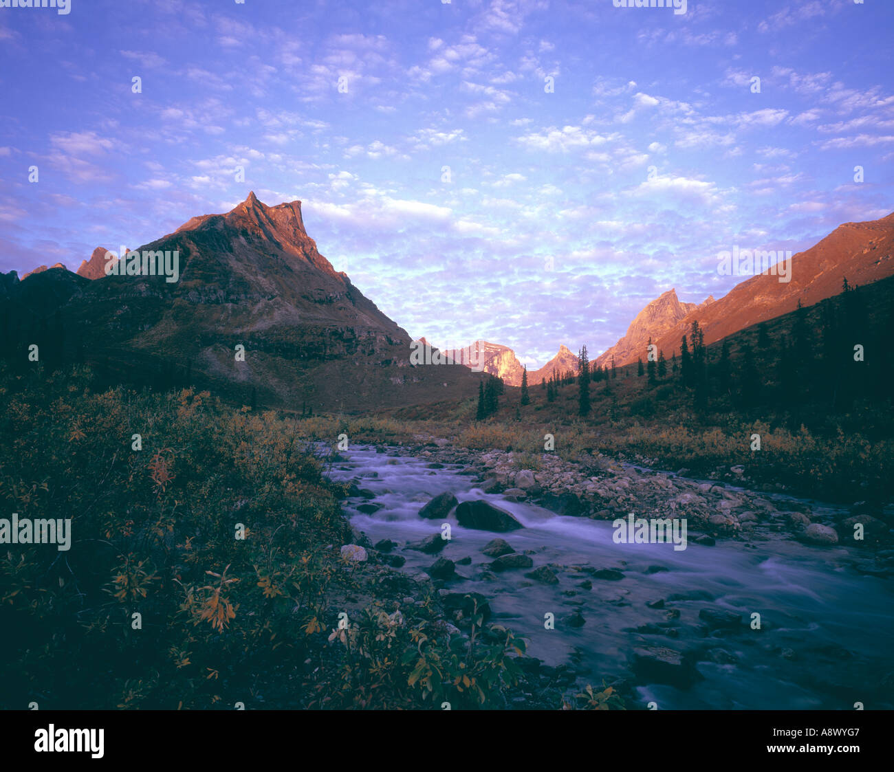 Arrigetch peaks hi-res stock photography and images - Alamy