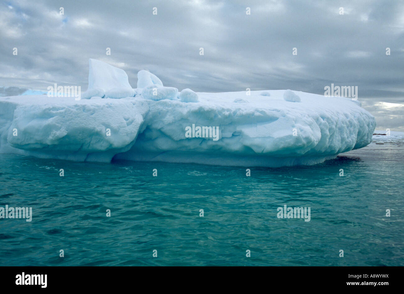 Giant Iceberg in sea, Argentine Islands, Antarctic Peninsula ...