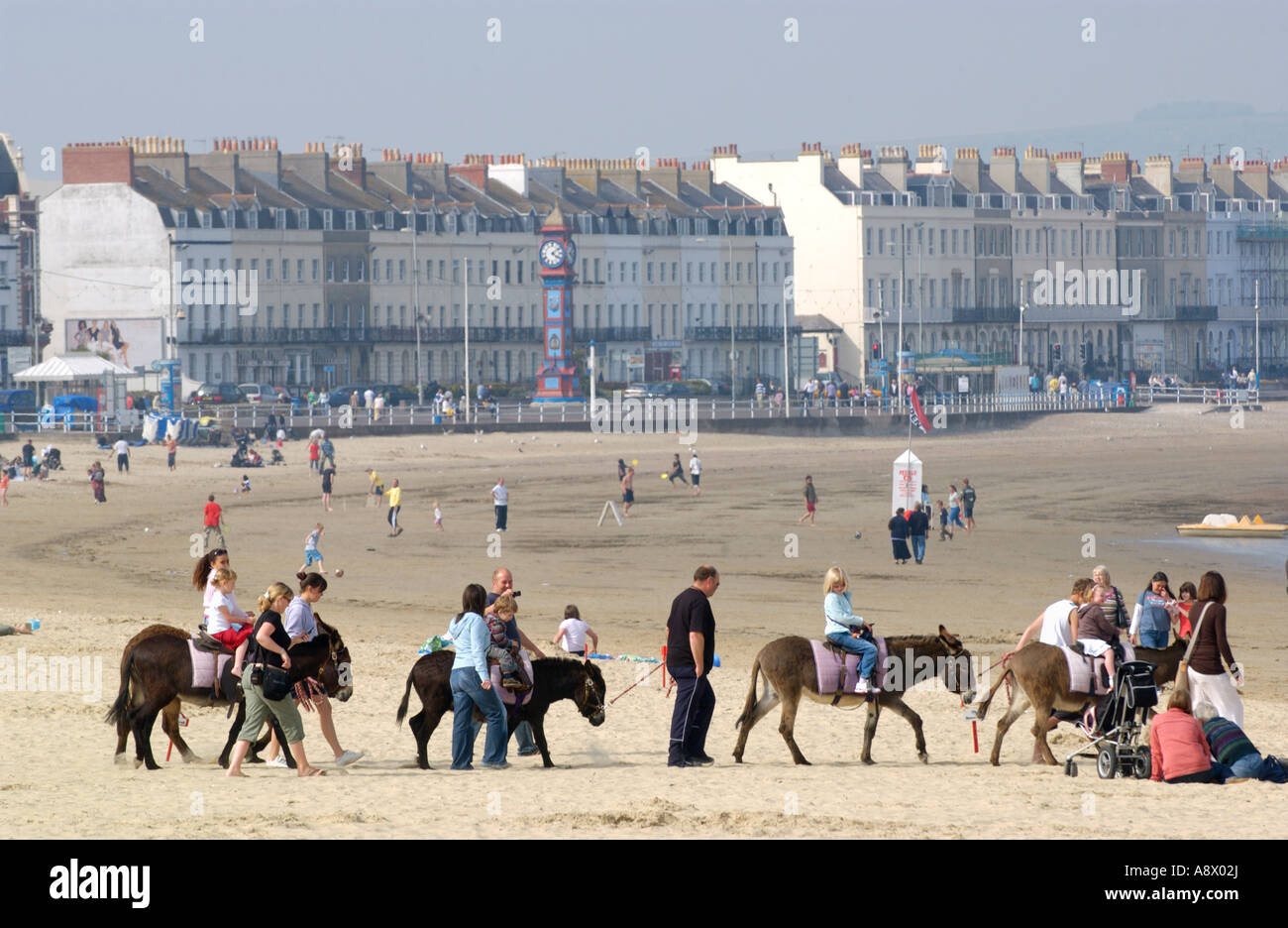 Weymouth donkeys hi-res stock photography and images - Alamy