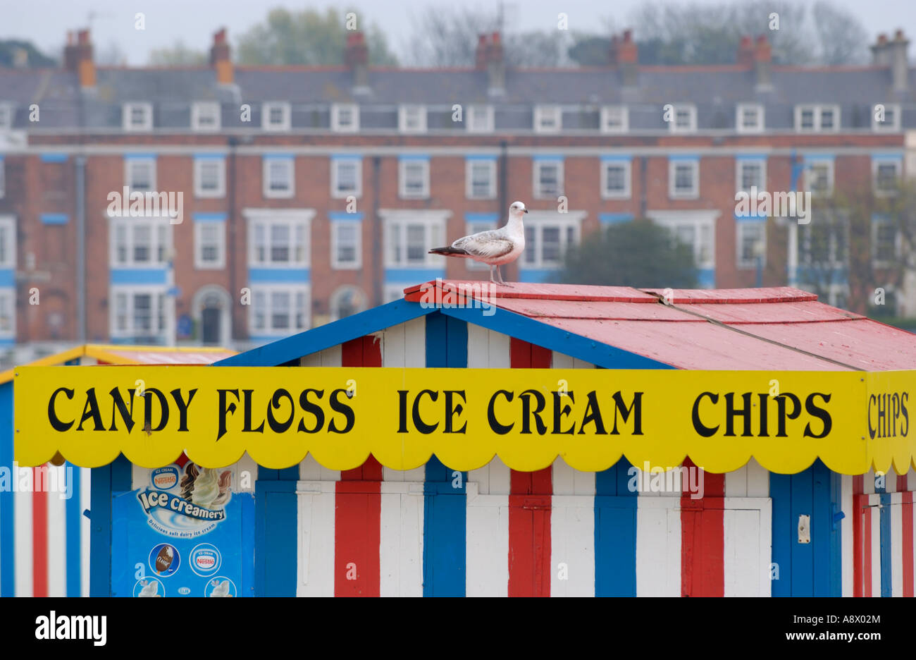 Traditional seaside stall on beach at Weymouth Dorset England UK GB EU ...