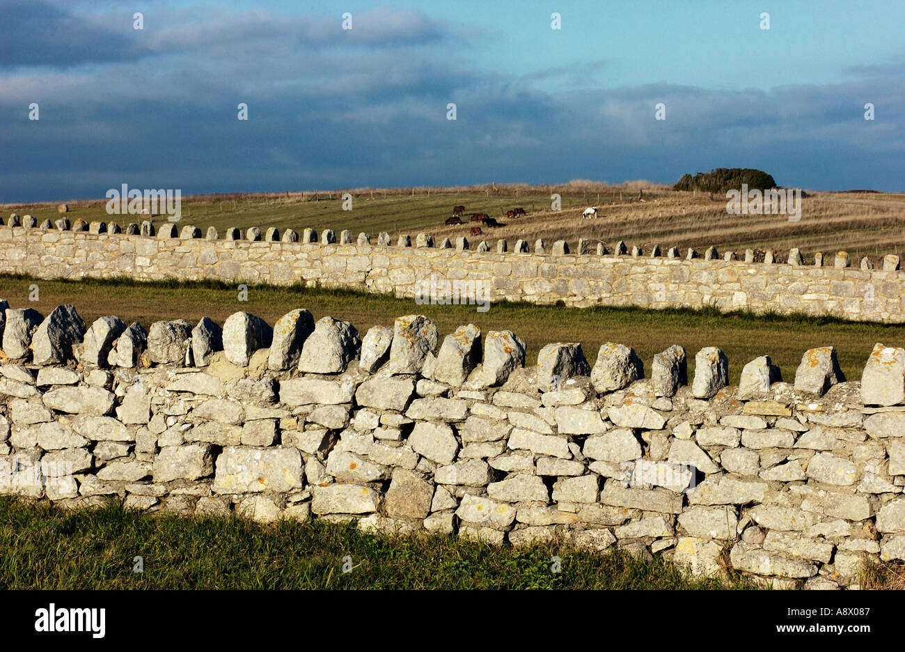Isle of portland limestone hi-res stock photography and images - Alamy