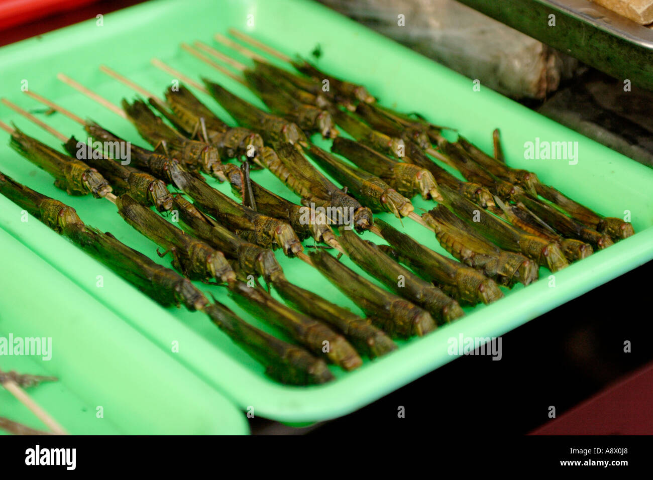 Cooked grasshopper hi-res stock photography and images - Alamy