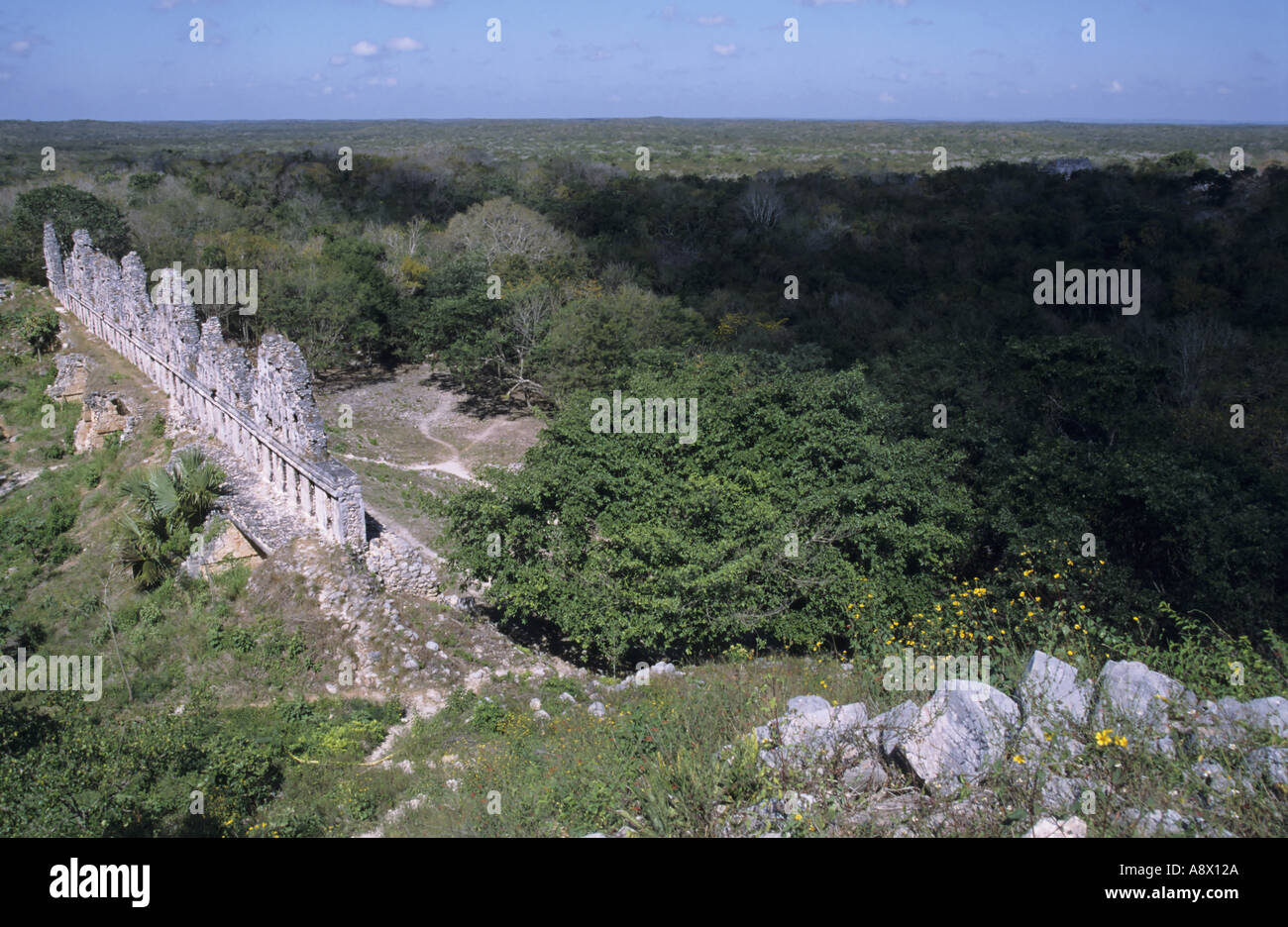 Mexico Yucatan State Uxmal House Of The Pigeons Wall Near The Great ...