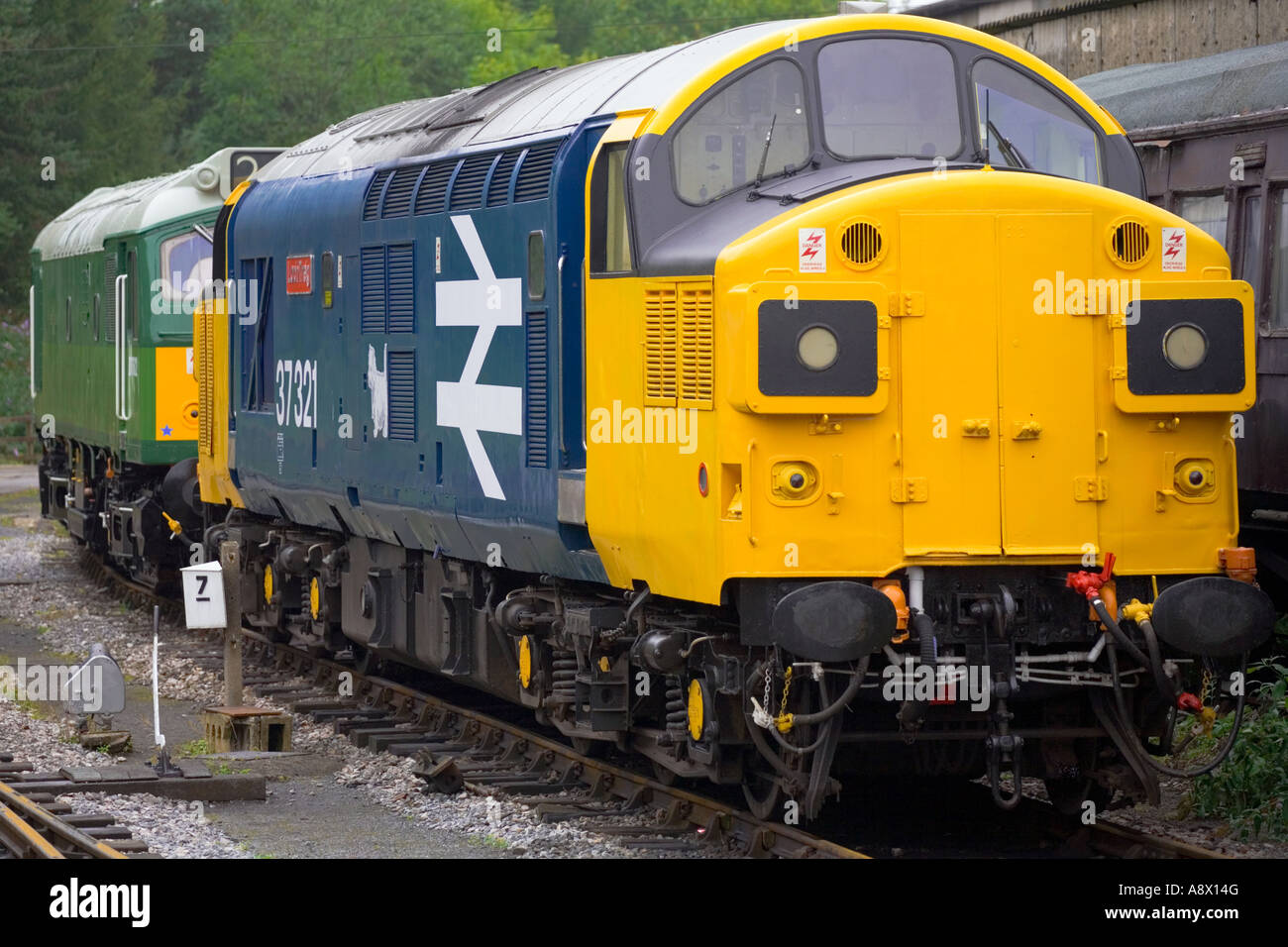 Class 37 Diesel Engine at Buckfastleigh Railway Stock Photo - Alamy