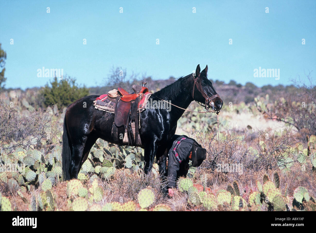 Red Wash Gulch Sedona Stock Photo - Alamy