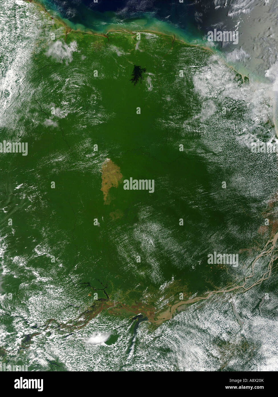 Northern Brazil and Suriname viewed from space Stock Photo - Alamy