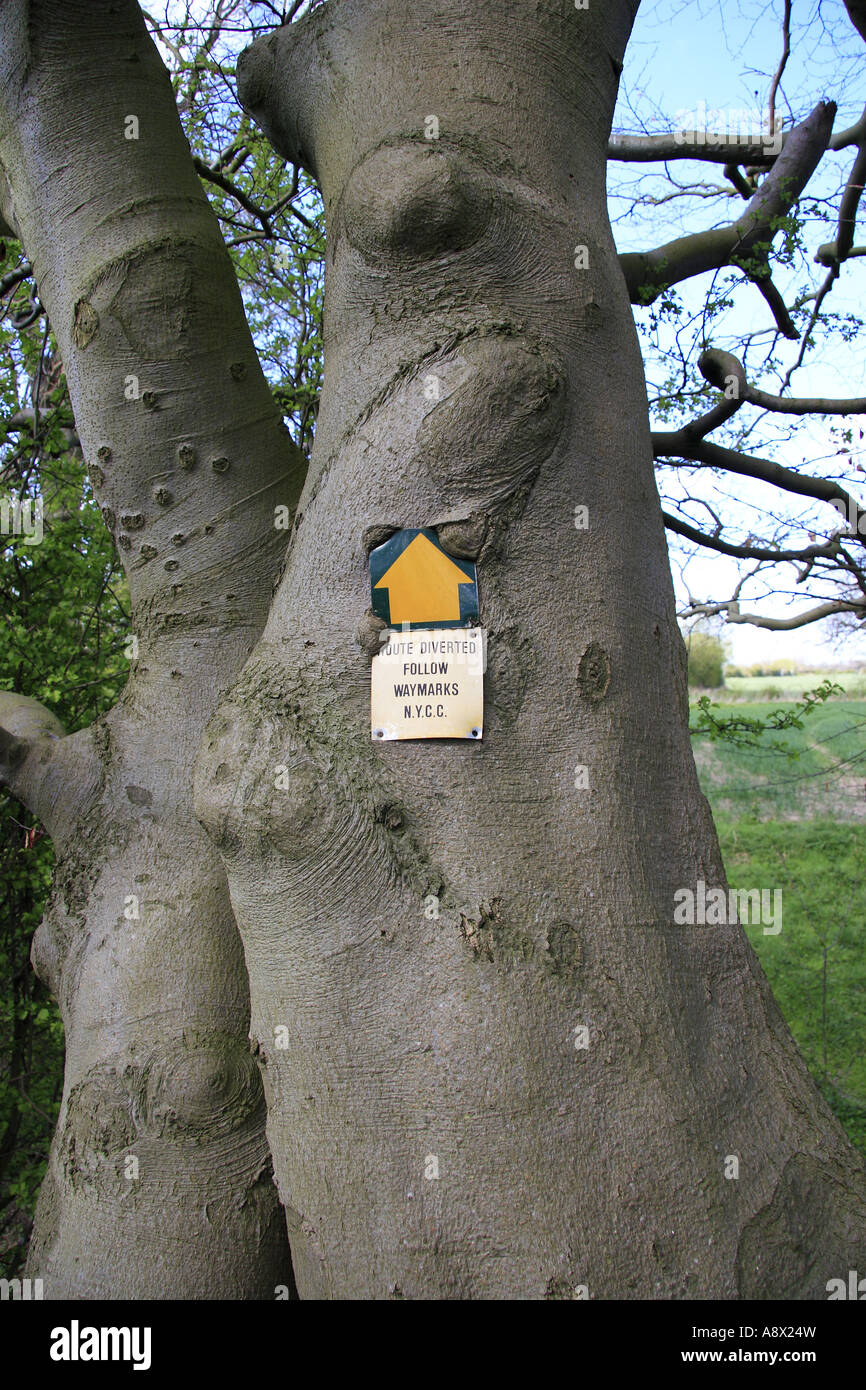 Footpath sign waymark arrow hi-res stock photography and images - Alamy Footpath sign waymark arrow hi-res stock photography and images - Alamy