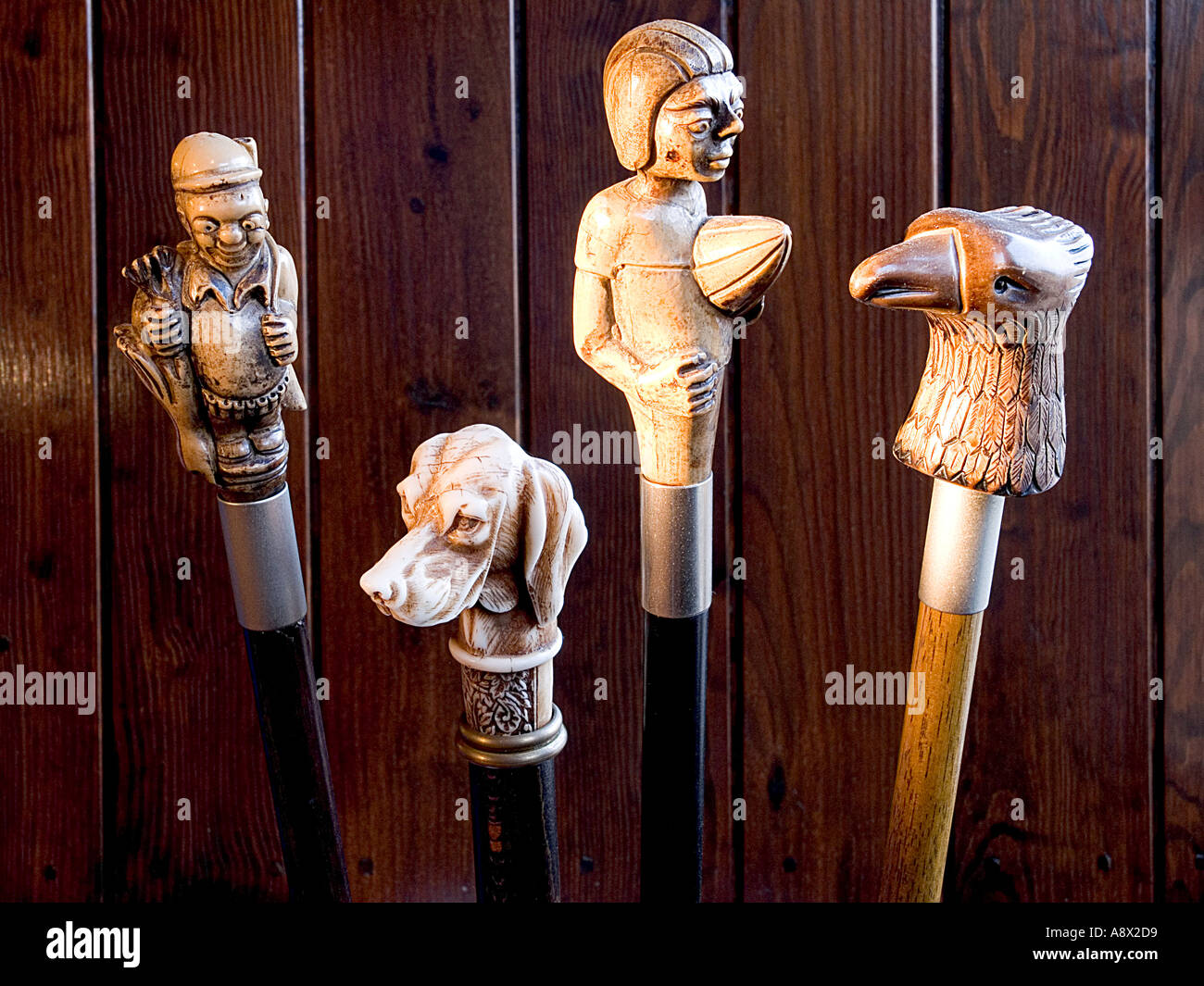 Ivory walking stick hi-res stock photography and images - Alamy