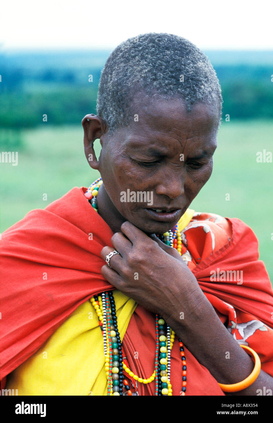 KENYA Masai Mara National Reserve Masai woman with pierced ears in ...