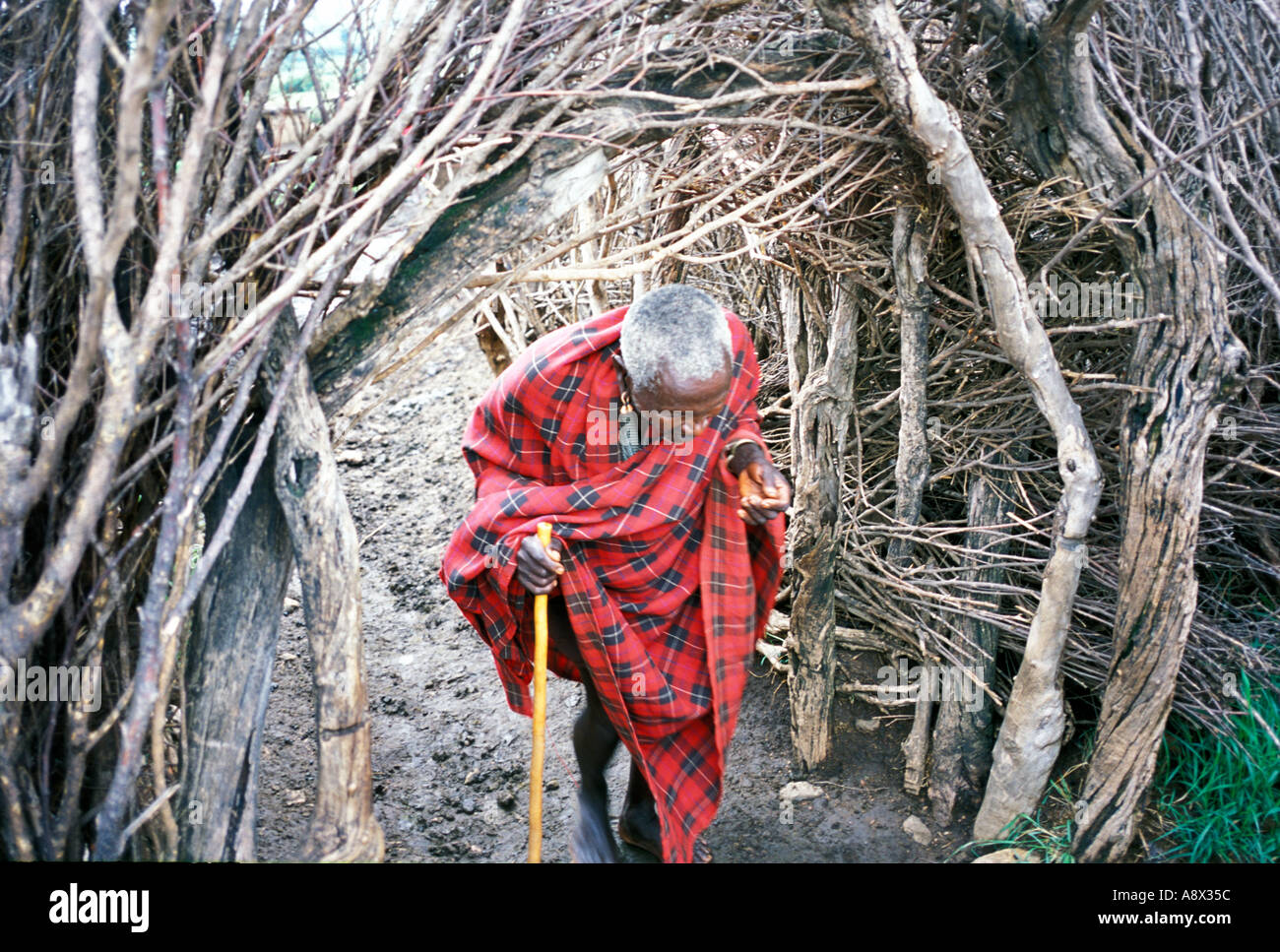 Maasai compound hi-res stock photography and images - Alamy