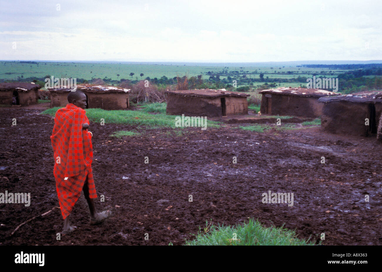 KENYA Masai Mara National Reserve Traditional manyatta village with ...
