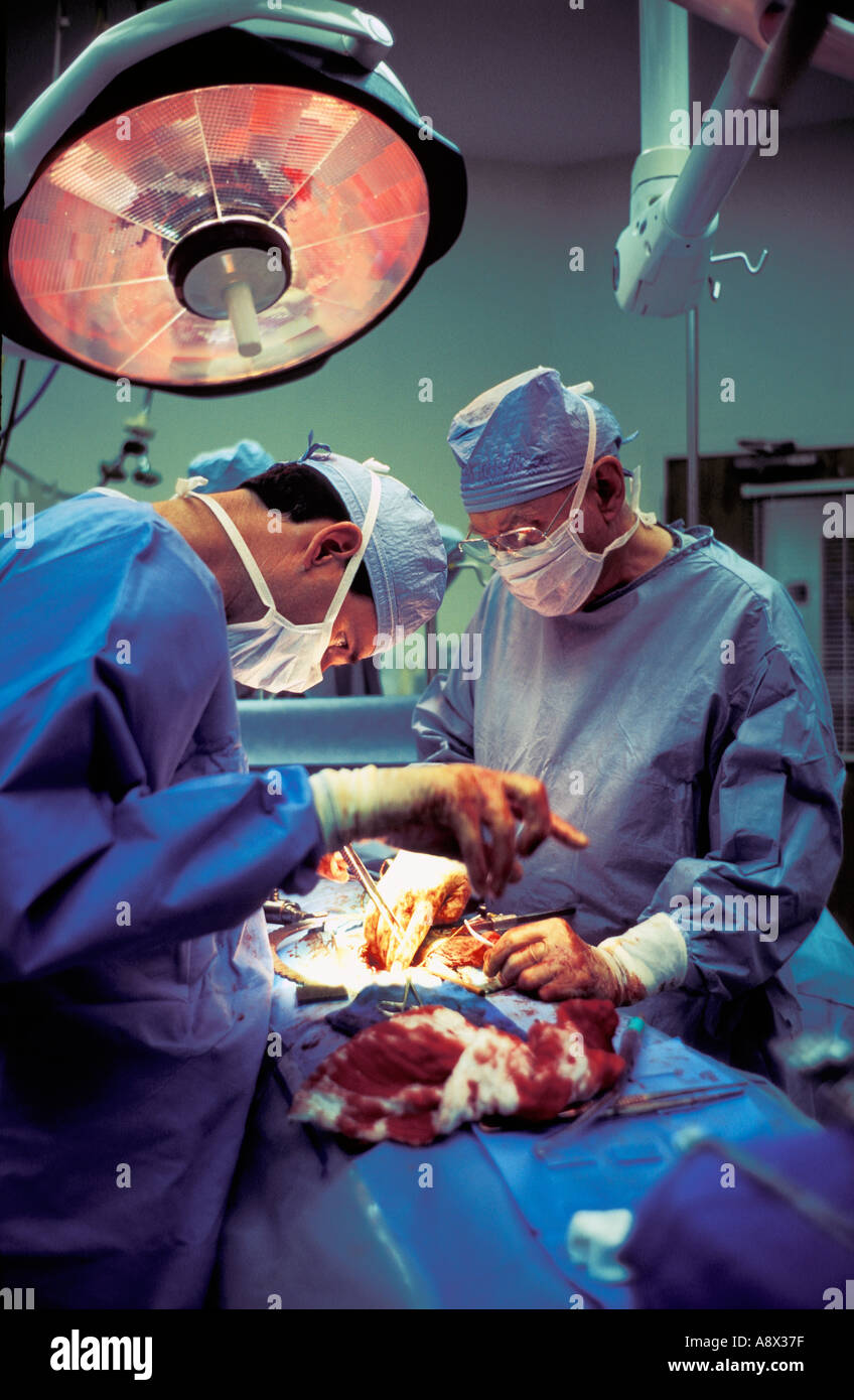 Surgical team performs kidney transplant in operating room Stock Photo ...