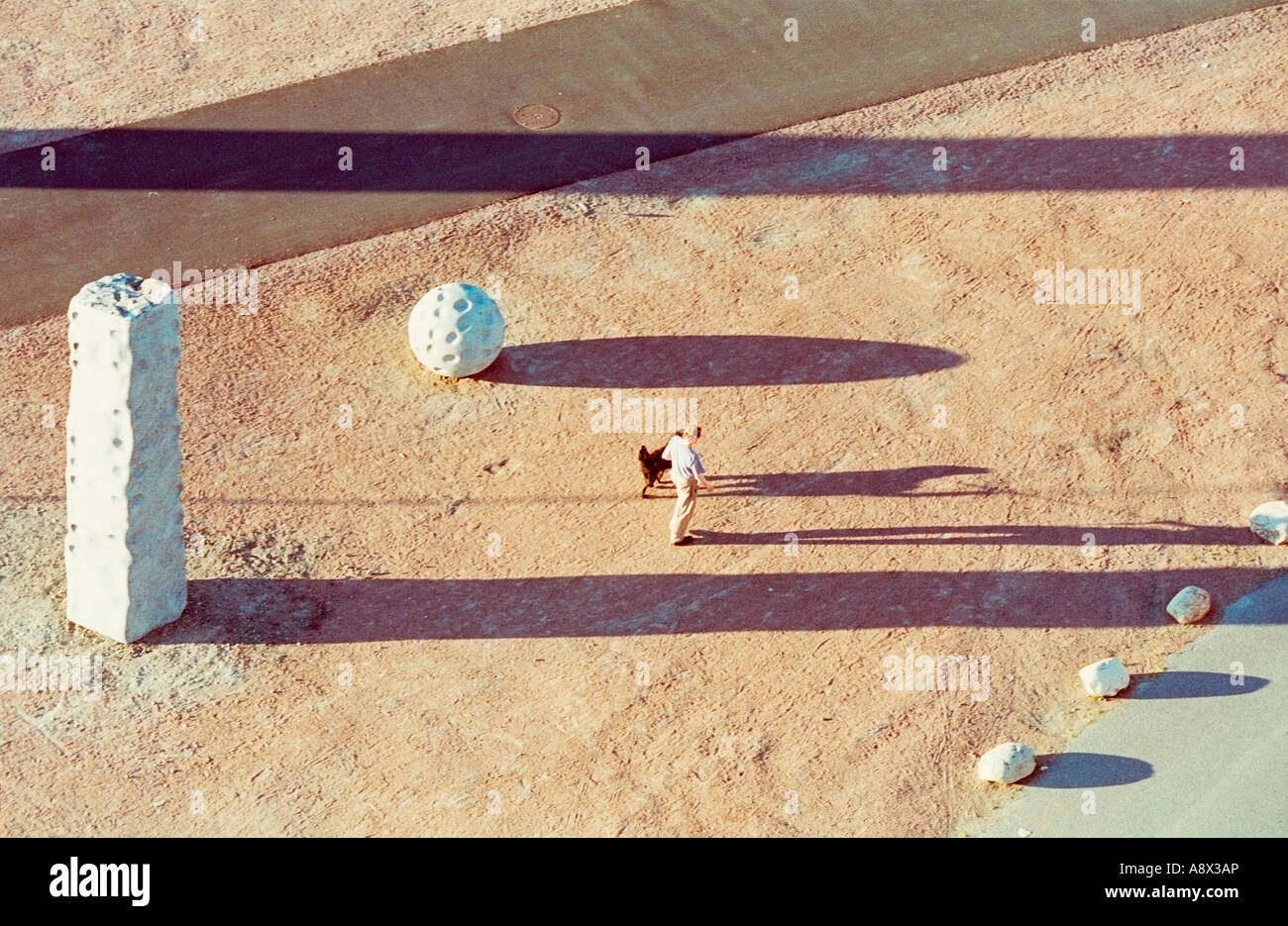 Late afternoon sun casting long shadows of a man and his pet dog and ...