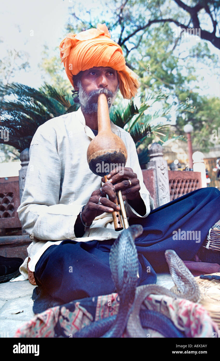 Budh Nath from the Jogi Nath Sapera (snake charmers community) from ...