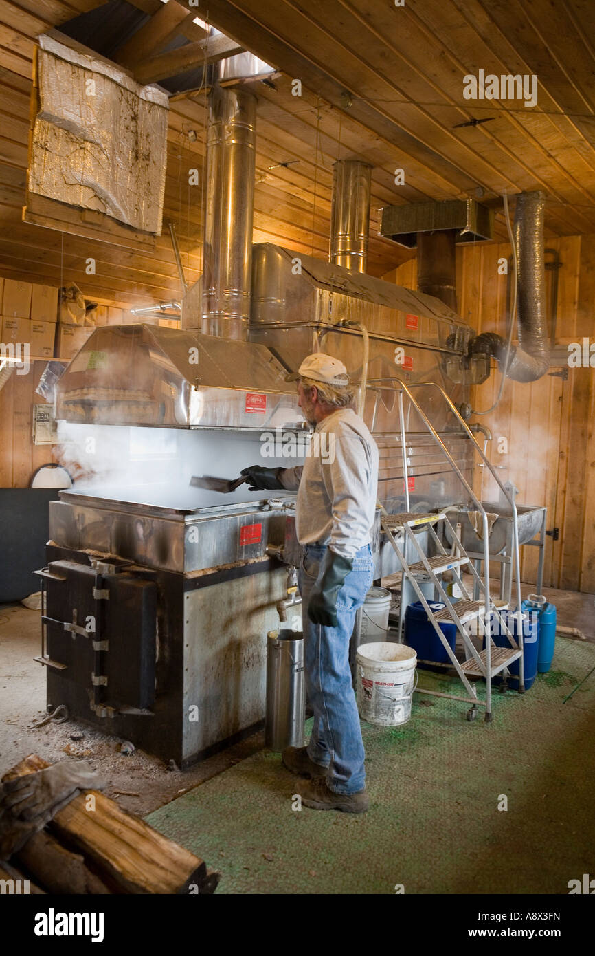Boiling tree sap in evaporator making maple syrup upstate New York ...