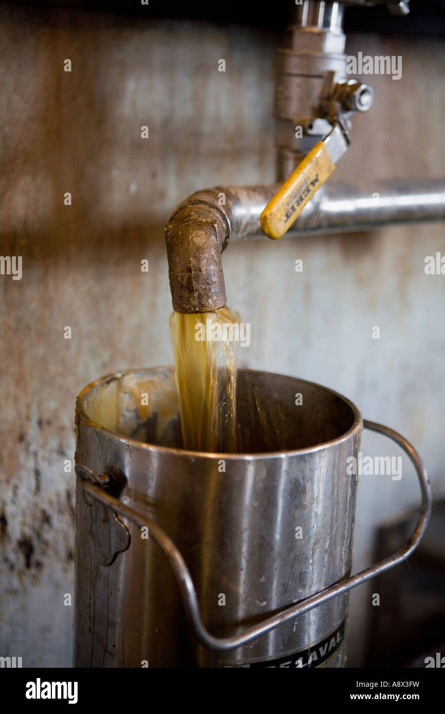 Sugar maple tree sap boiling hi-res stock photography and images - Alamy