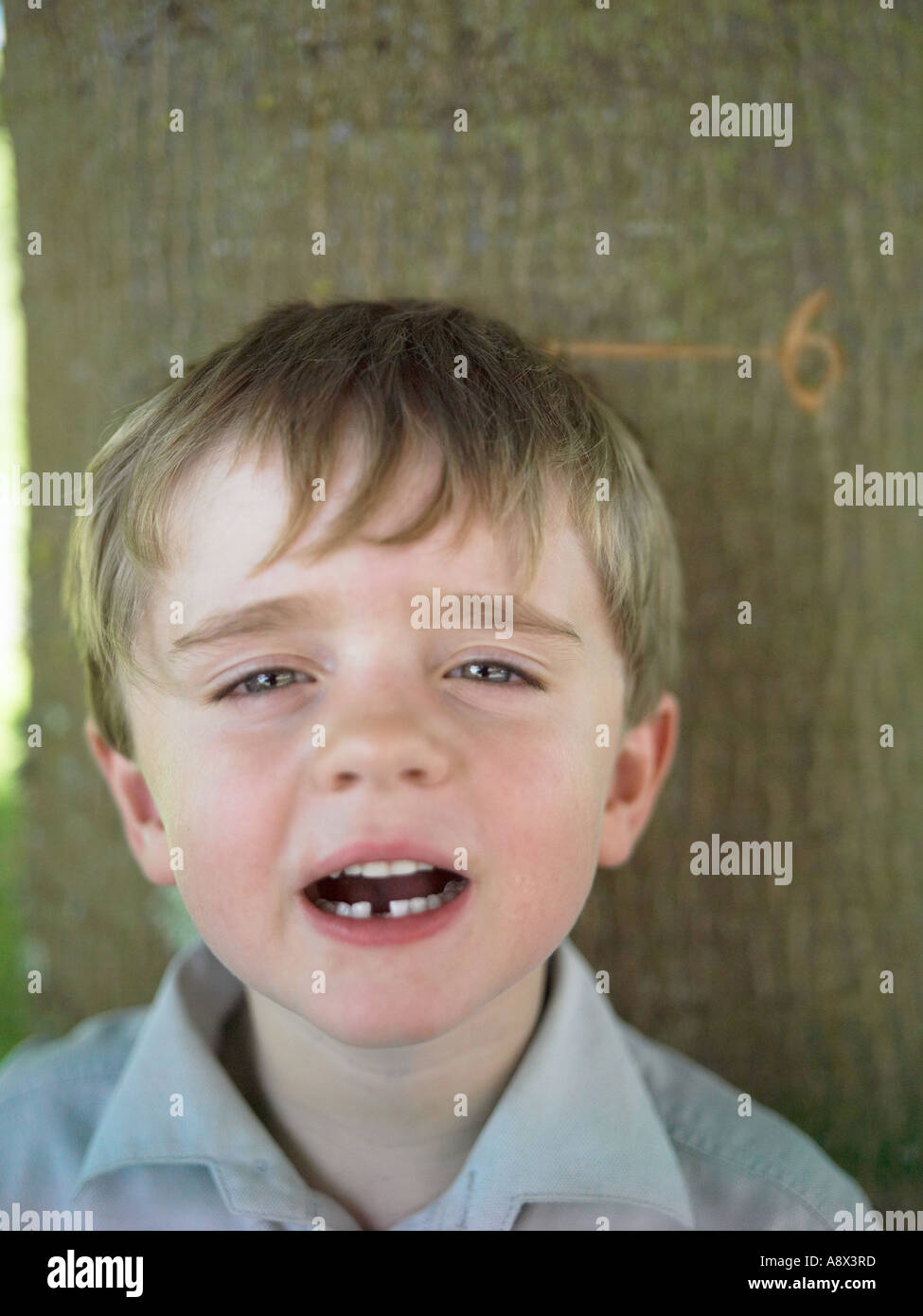 six year old boy with tooth missing leaning on tree with his height and age engraved Stock Photo ...