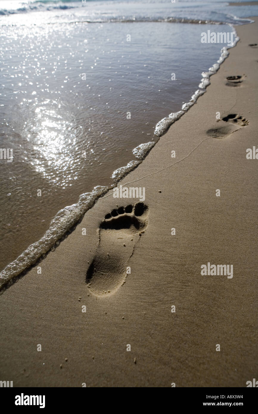 Foot Steps in the Sand Stock Photo - Alamy