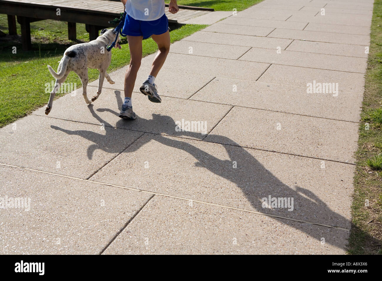 Shadow of man Runing with Dog Stock Photo - Alamy