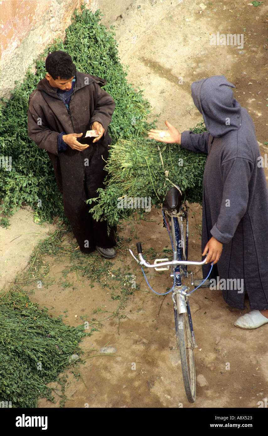 Morocco erfoud market hi-res stock photography and images - Alamy