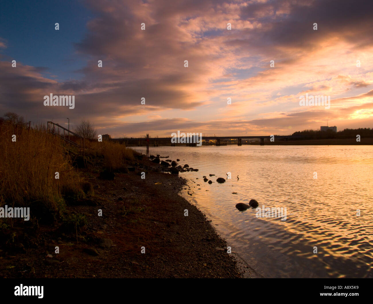 The stunning pink and golden hues of the sun setting on the Lower Bann ...