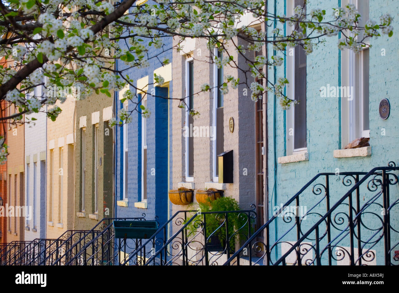 Colorful brick facades Lark Street neighborhood Albany New York Stock ...