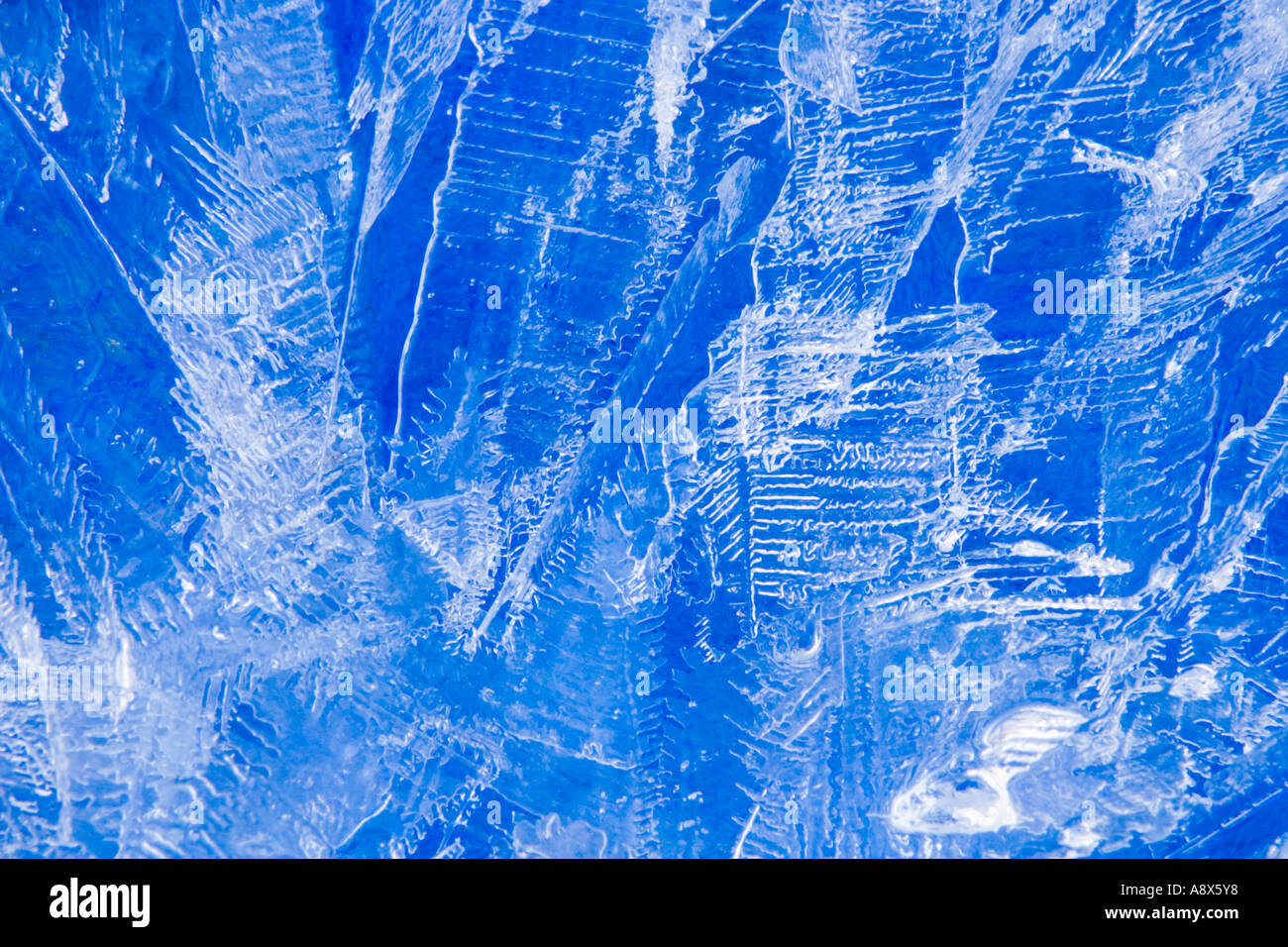 close up of fresh water ice crystals on underside of ice sheet Stock ...