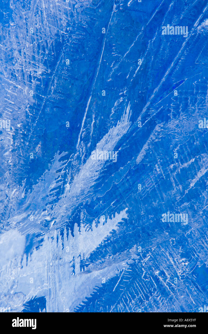 close up of fresh water ice crystals on underside of ice sheet Stock ...