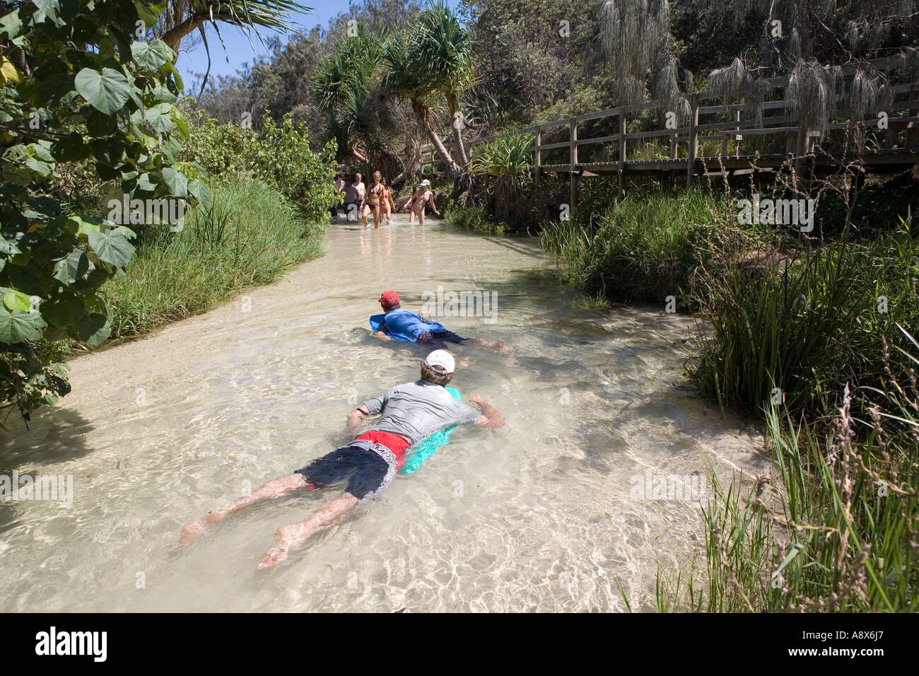 Tourists in Eli Creek Fraser Island QSL Australia Stock Photo - Alamy