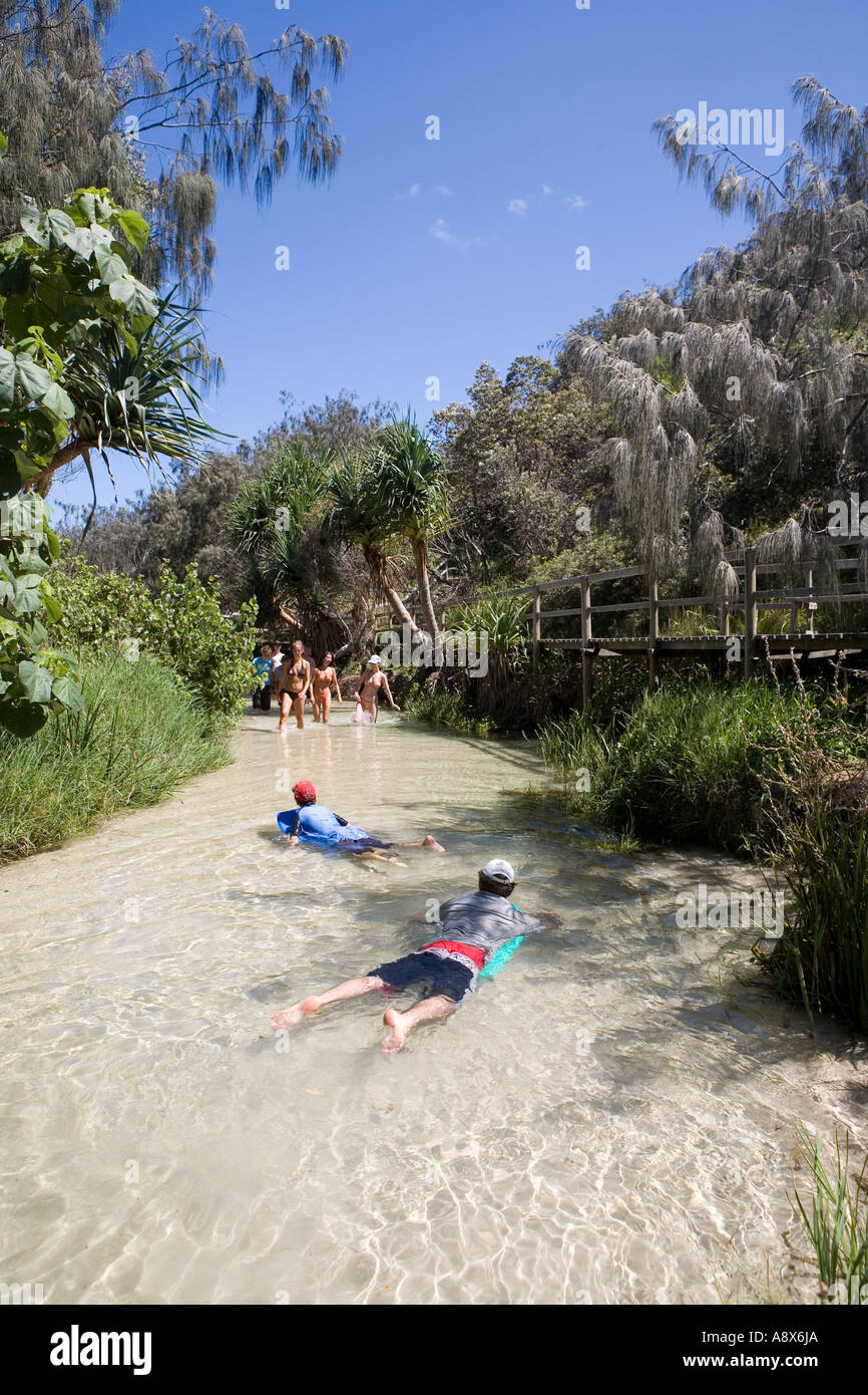 Tourists in Eli Creek Fraser Island QSL Australia Stock Photo - Alamy