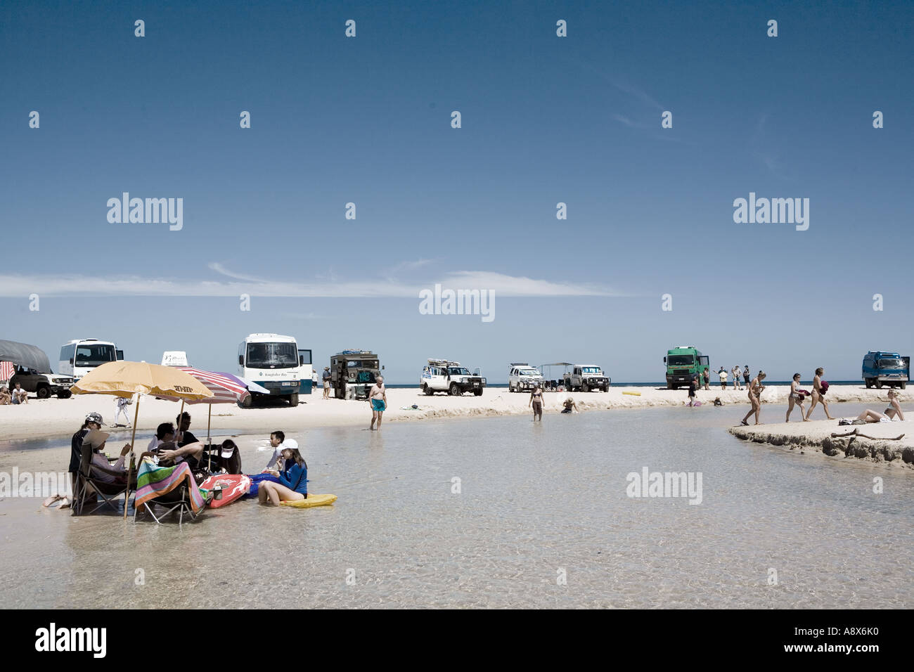 Tourists in Eli Creek Fraser Island QSL Australia Stock Photo - Alamy