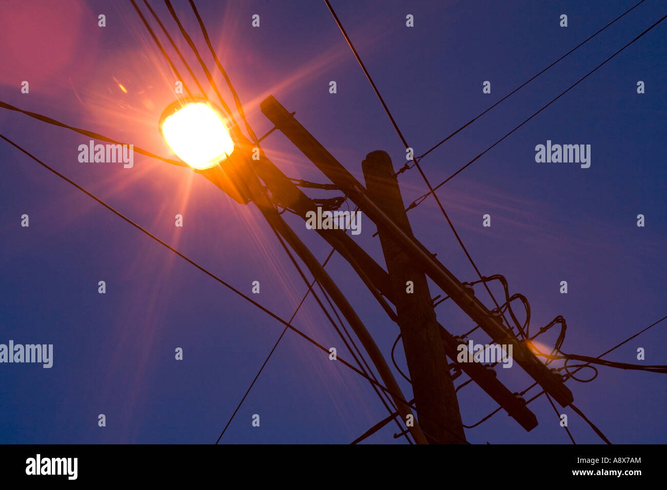Street light and electrical wires at dusk Los Angeles County California ...
