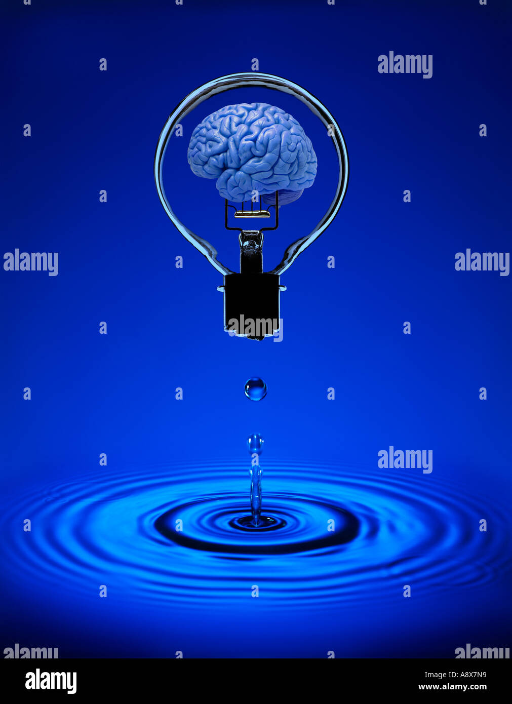 HUMAN BRAIN INSIDE GLASS ELECTRIC LIGHT BULB FLOATING ABOVE POOL OF ...